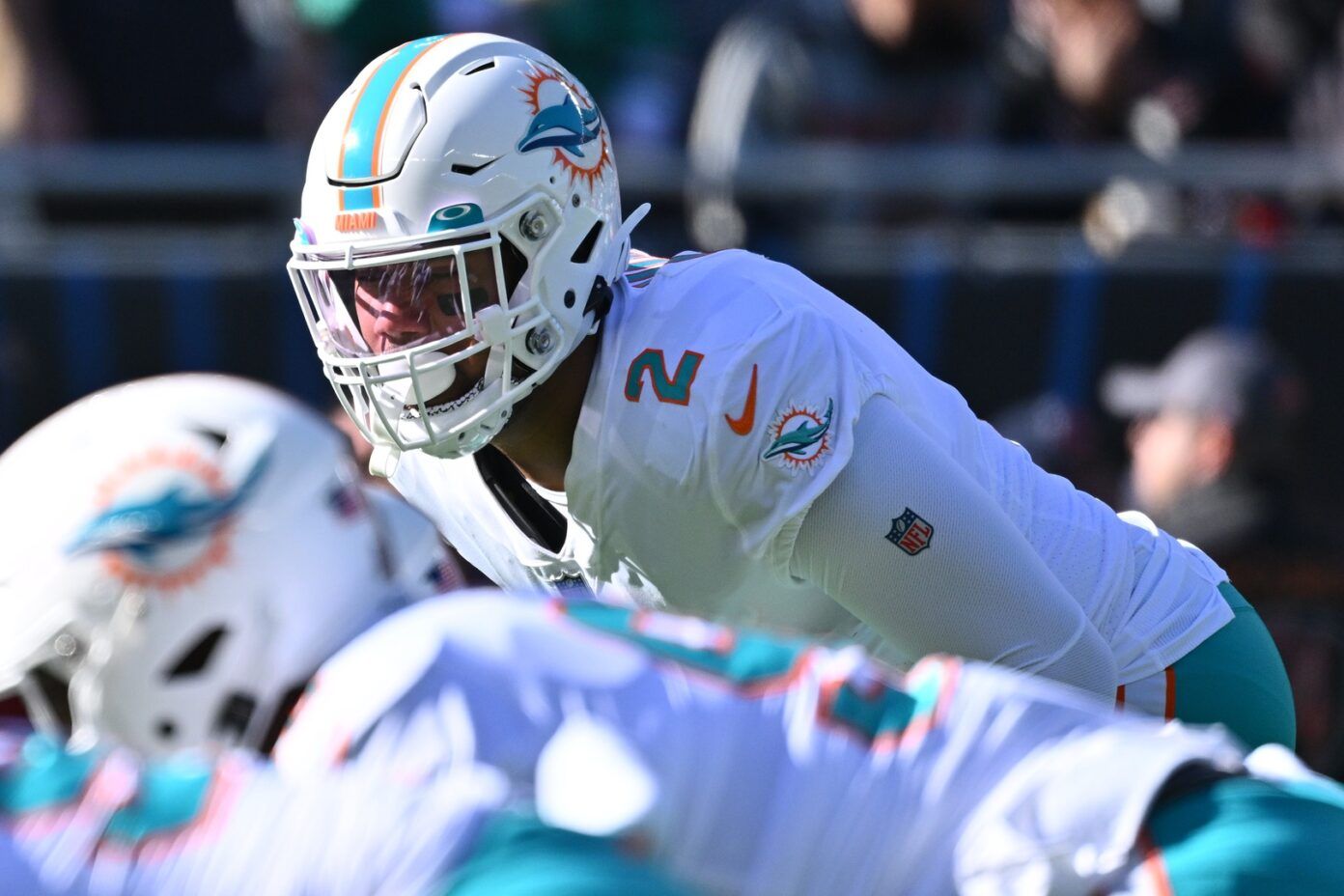 Do Miami Dolphins Fear New Jet Aaron Rodgers? Bradley Chubb Sure Doesn ...