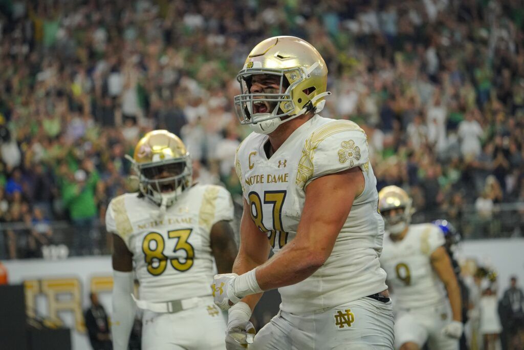 Michael Mayer Dynasty Profile: Fantasy Outlook, Value, Projections, and ...