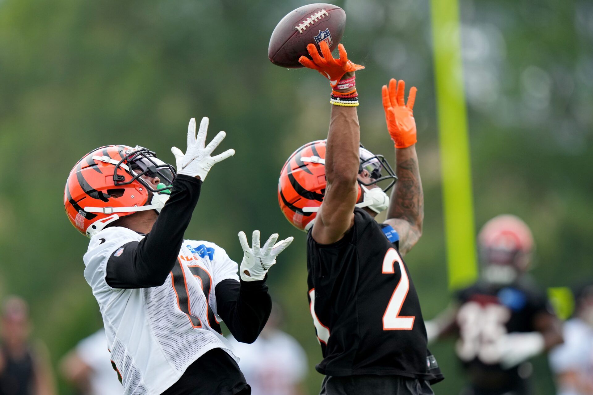 Cincinnati Bengals Training Camp: Newcomers Making CB the Most ...