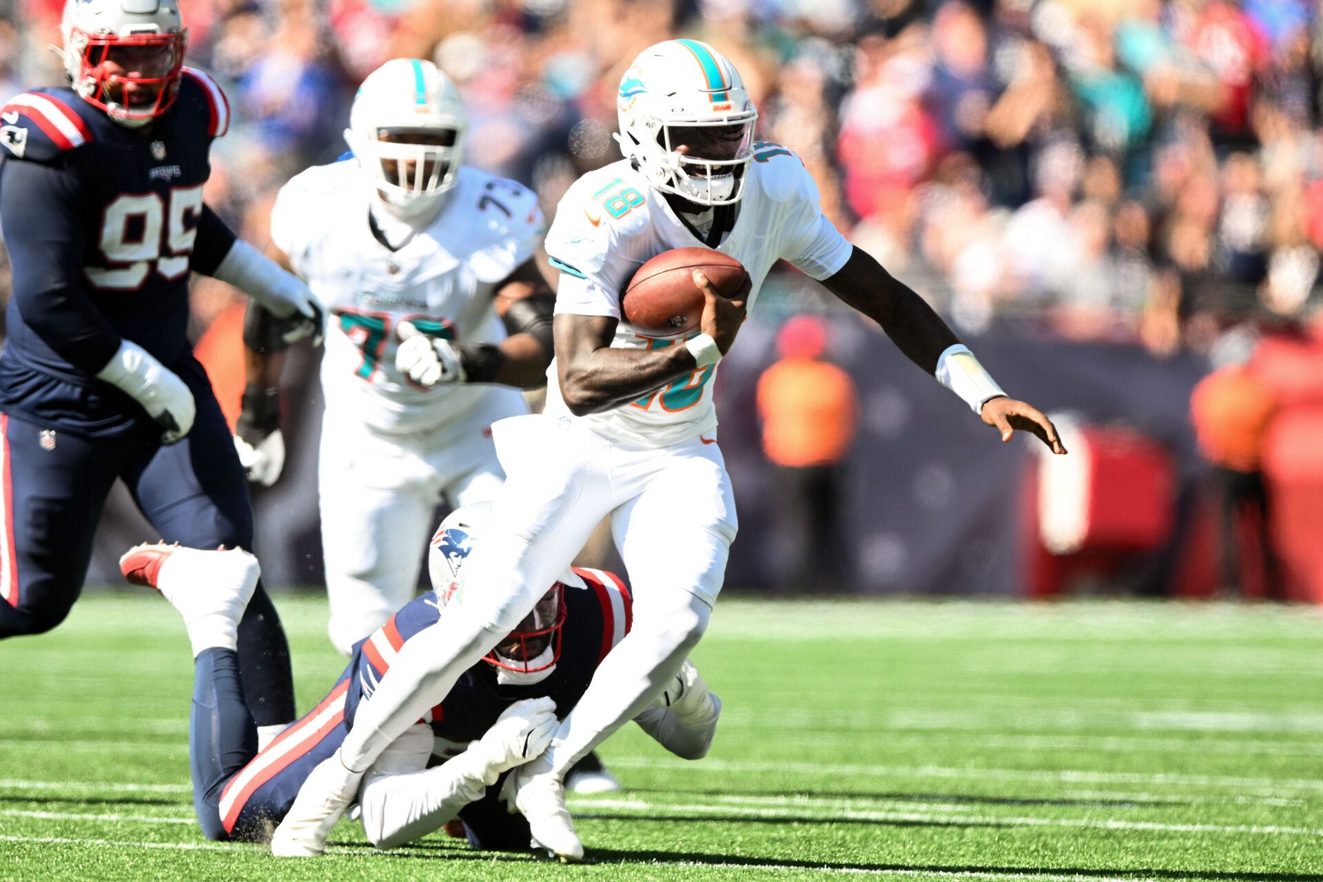 Arizona Cardinals at Miami Dolphins Prediction, Picks Week 8: Will Tua ...