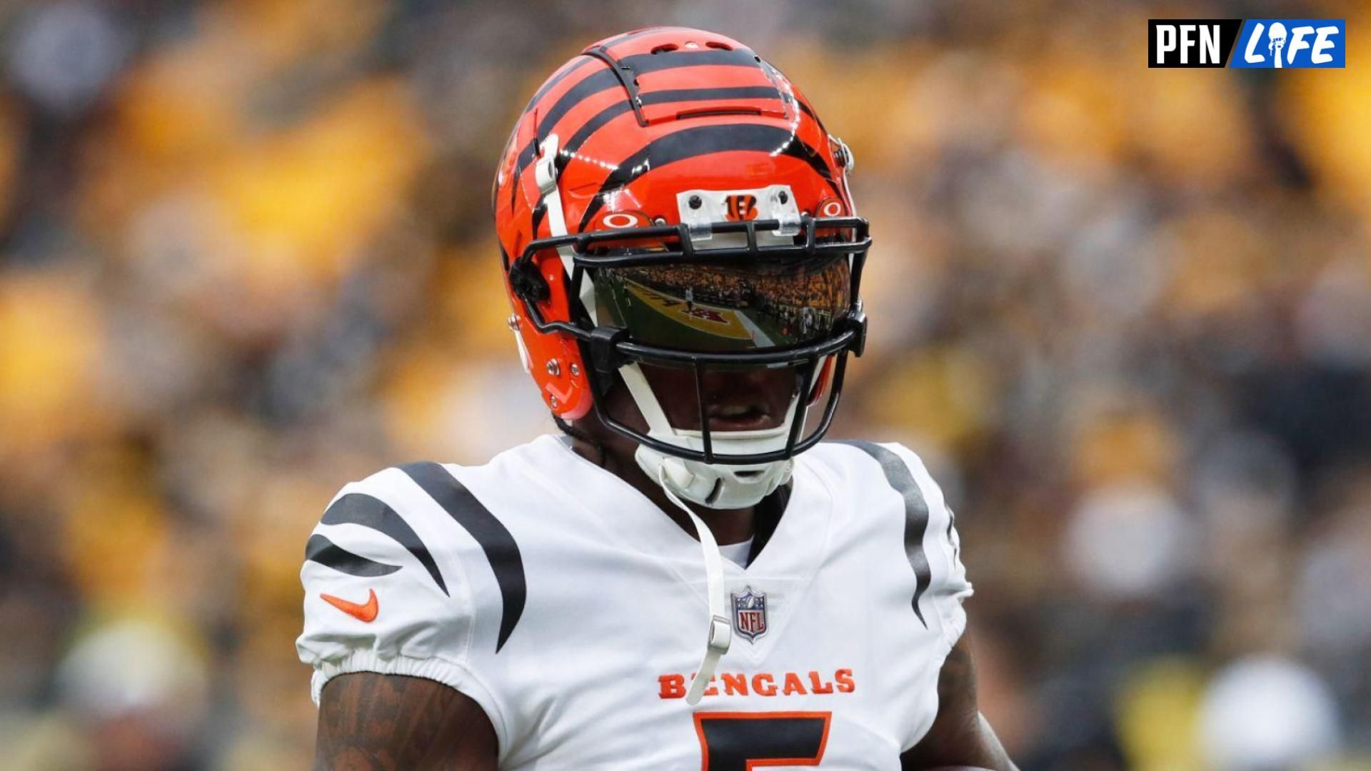 Tee Higgins' Mom Startled After Bengals WR's Week 8 Injury Update
