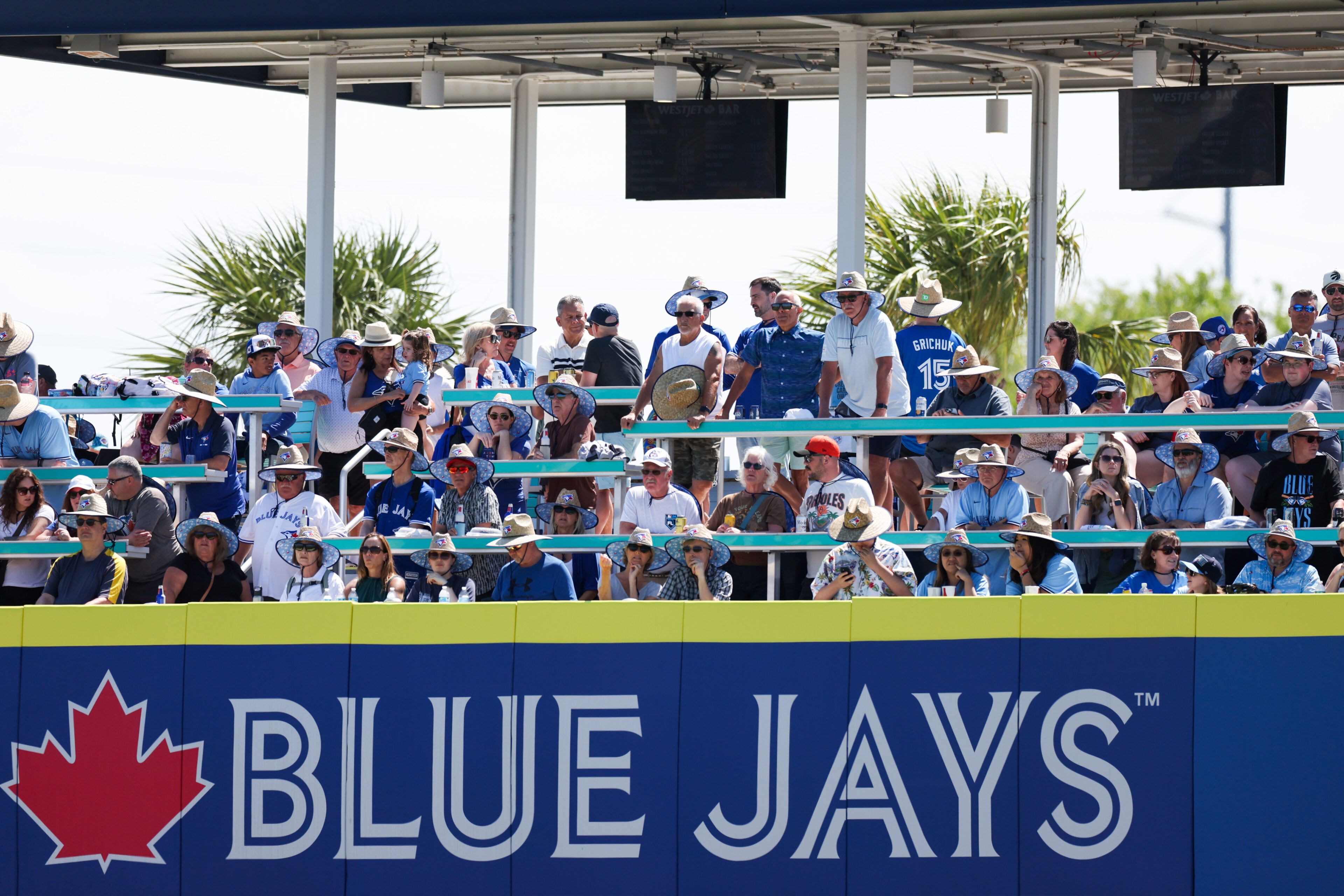'Ticket Prices Are Scary' -- Blue Jays Fans Break Silence as Empty ...