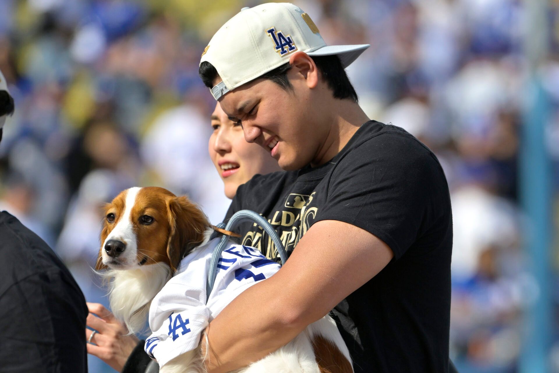 Shohei Ohtani Melts Hearts With Sweet Celebration for His Beloved Dog’s 2nd Birthday