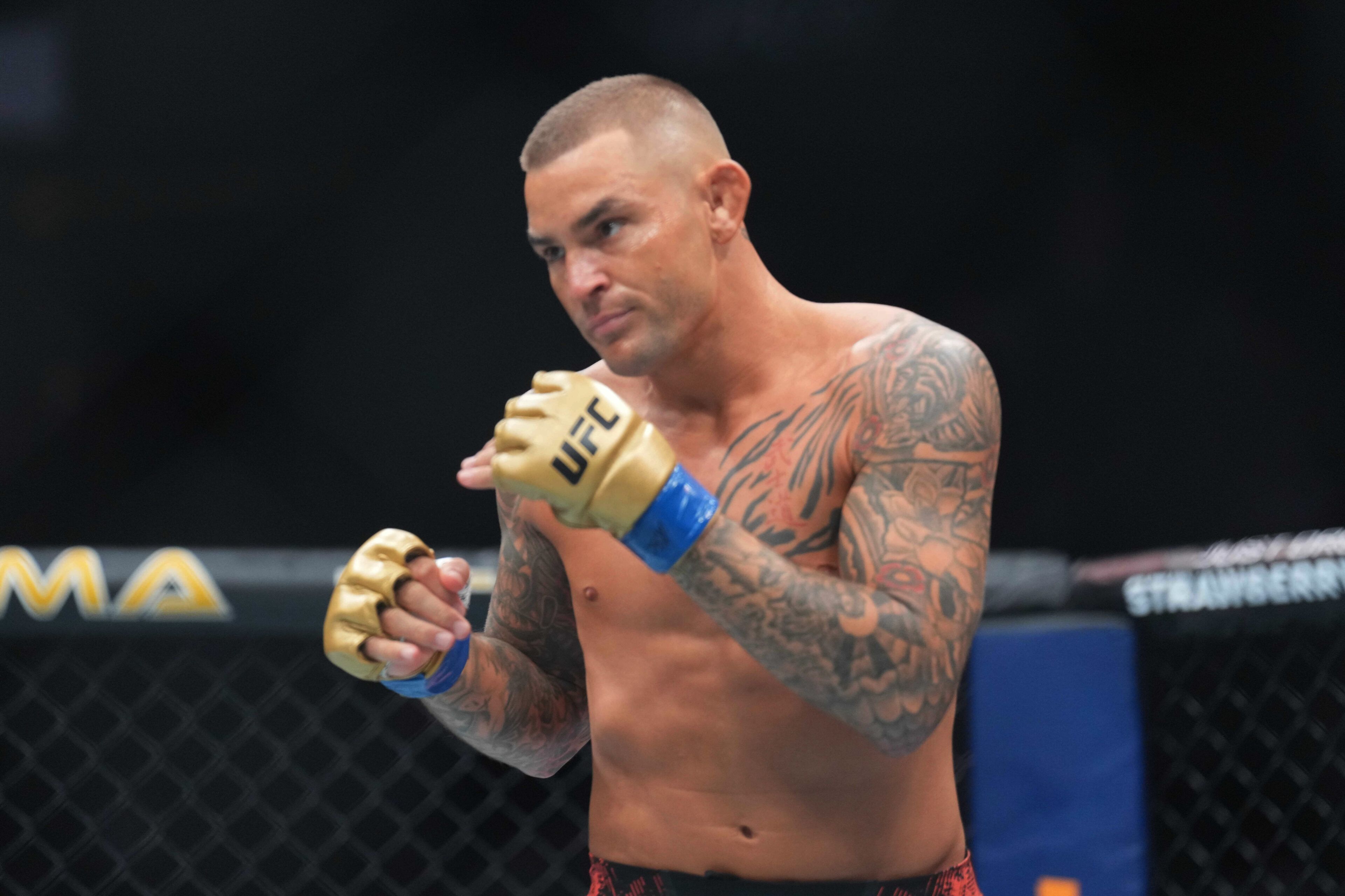 Dustin Poirier Reacts to Cute Video of Kid Copying His Guillotine Choke ...