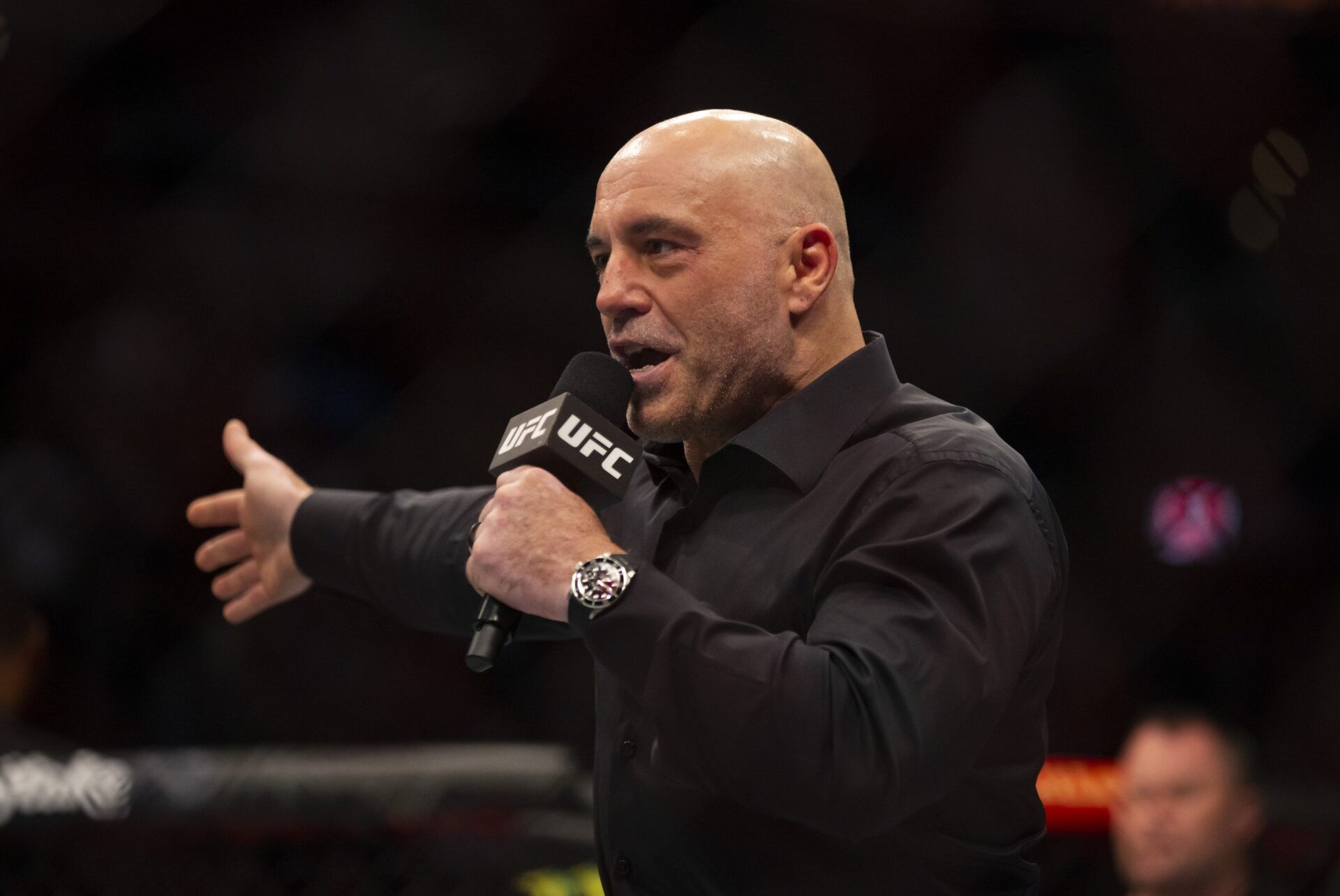 What Belt Does Joe Rogan Hold in Jiu-Jitsu? Here's What You Need to Know