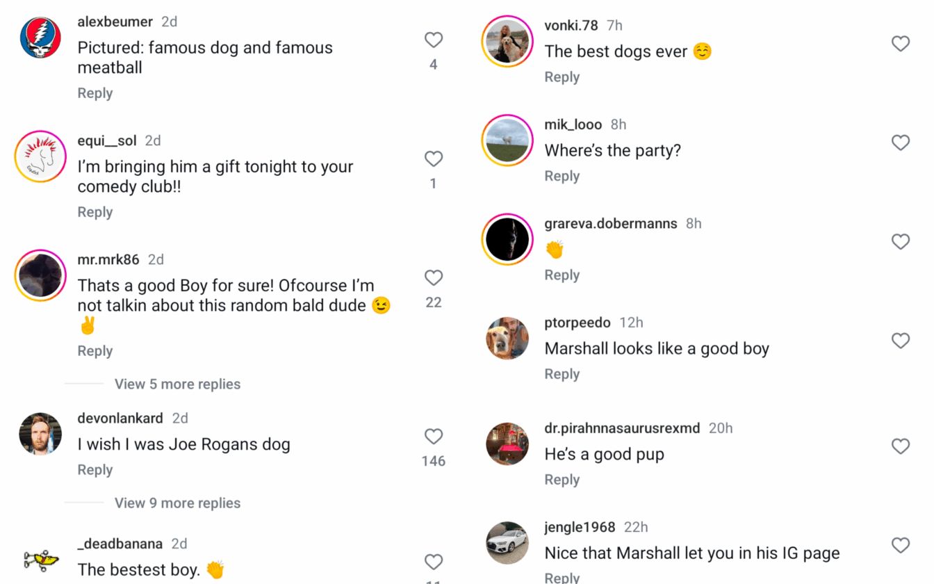 Joe Rogan's Adorable Snap With His Pet Dog Marshall Mae Melts Fans ...