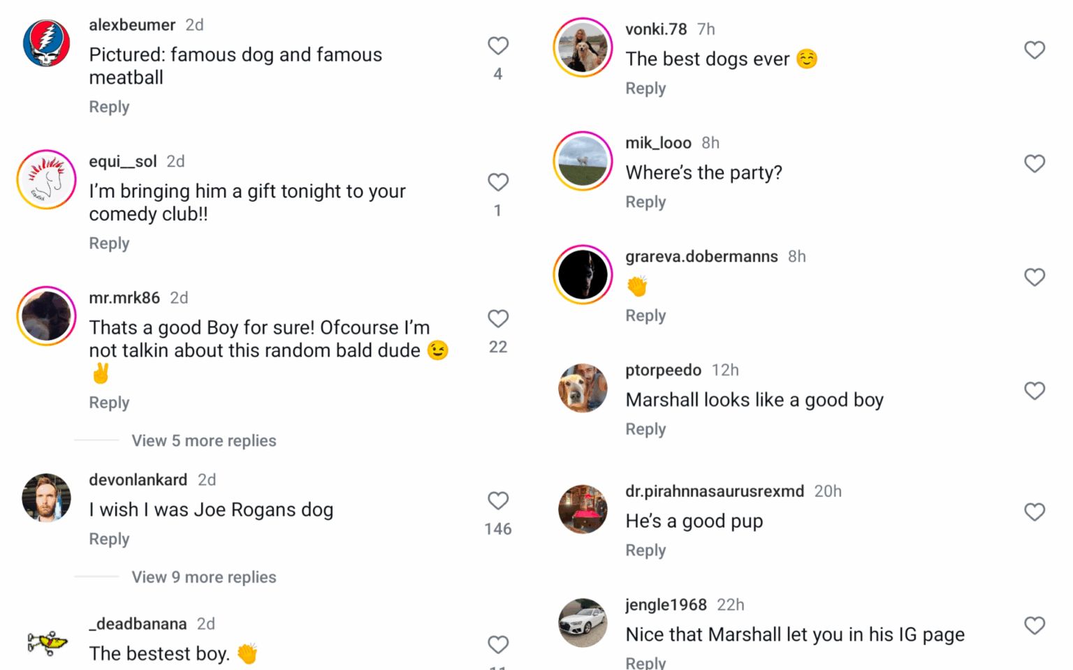 Joe Rogan's Adorable Snap With His Pet Dog Marshall Mae Melts Fans ...