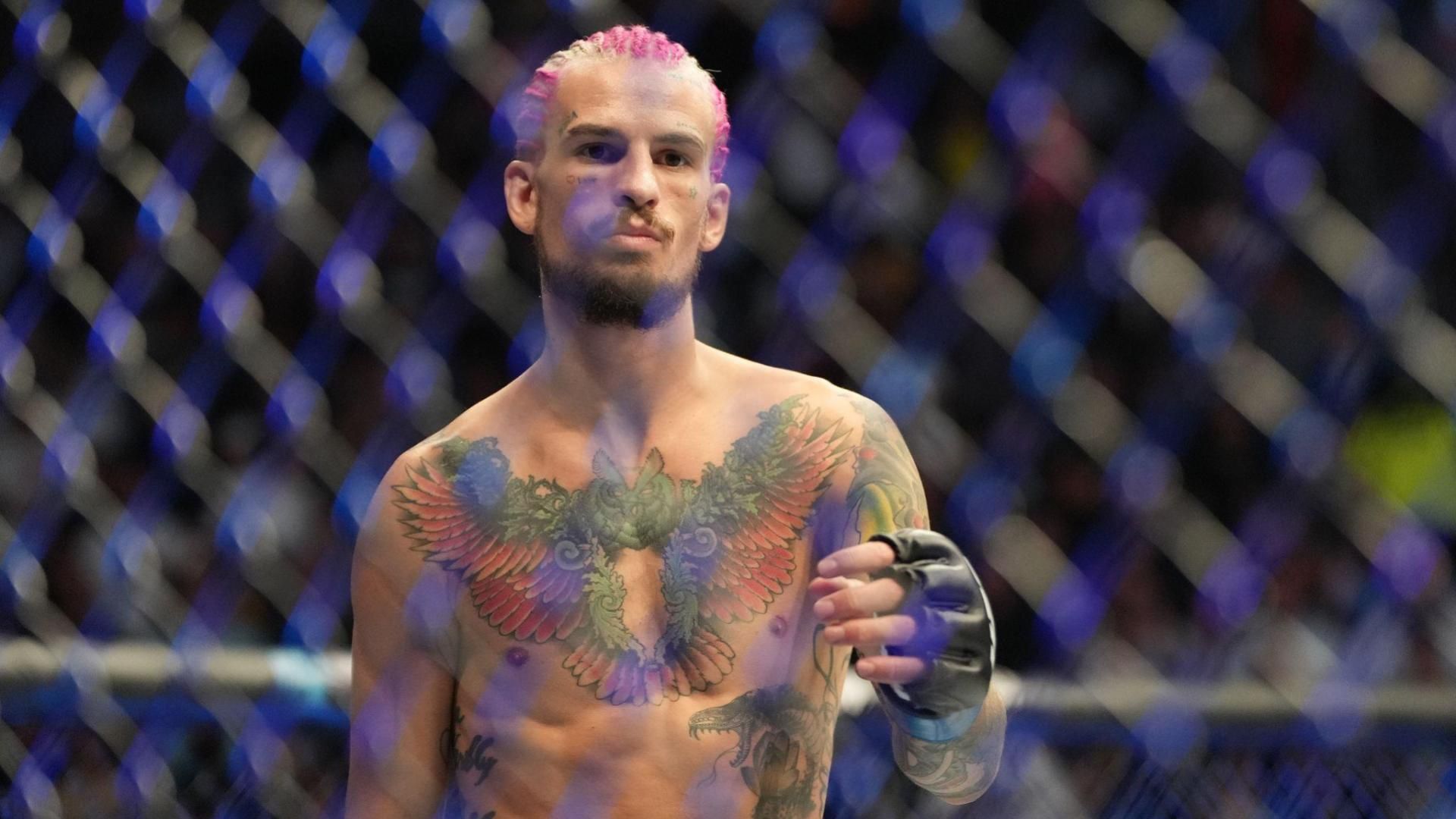 Where Is Sean O'Malley From and Who Are His Parents? The UFC Star's ...