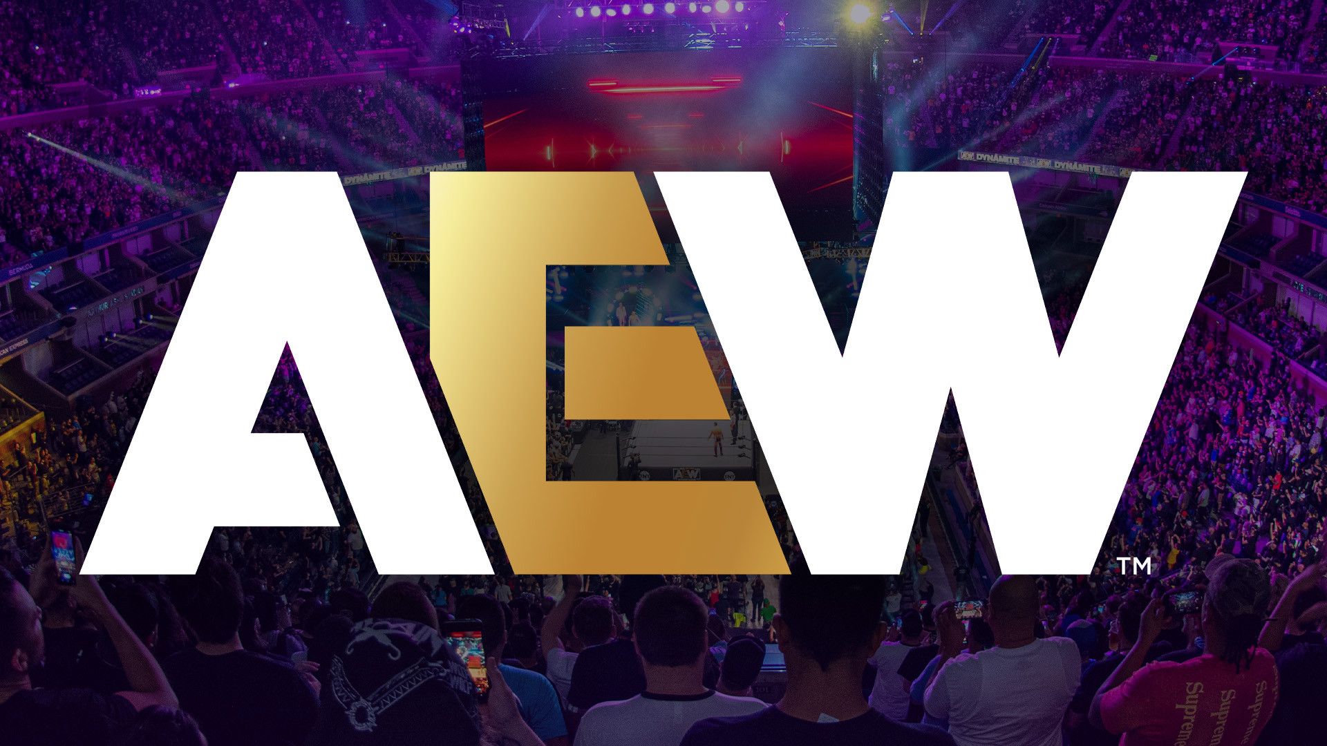 Ex-AEW Star Makes Waves With Shocking WWE Debut