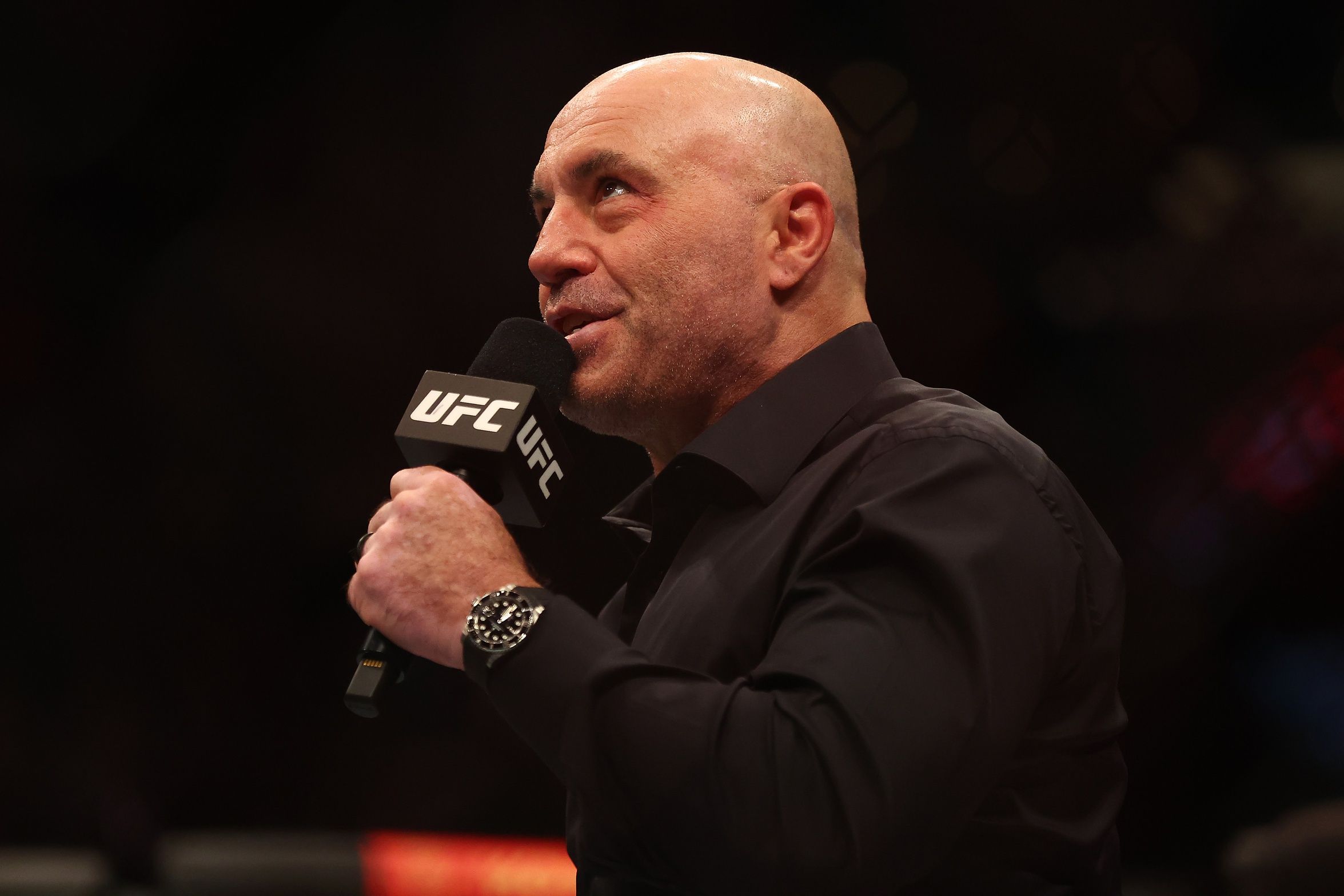 ‘Old-School UFC’ — When Sean O’Malley’s Honest Confession Got Joe Rogan ...