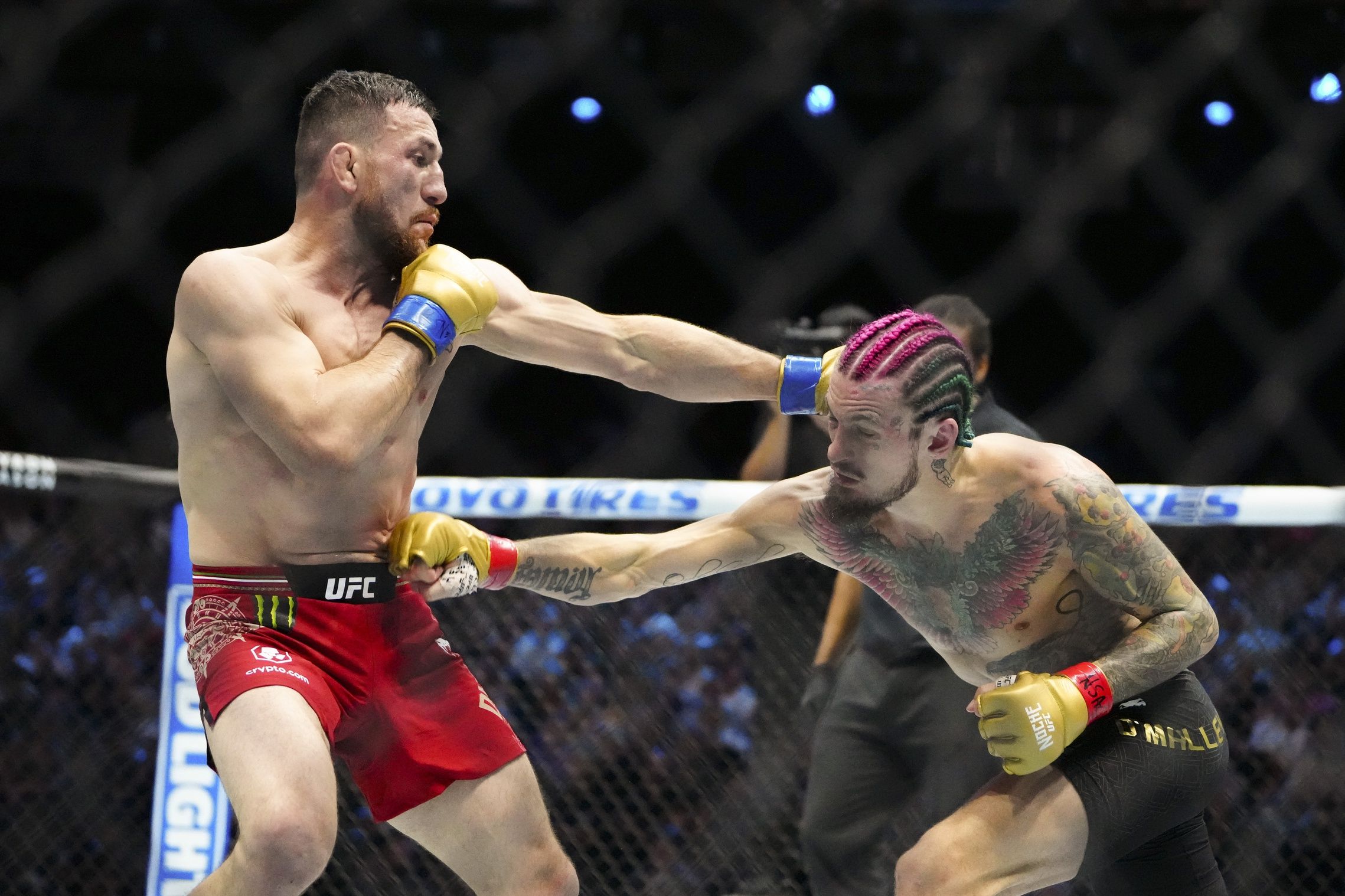 Merab Dvalishvili Claims Referee Herb Dean’s Intervention Could Have ...