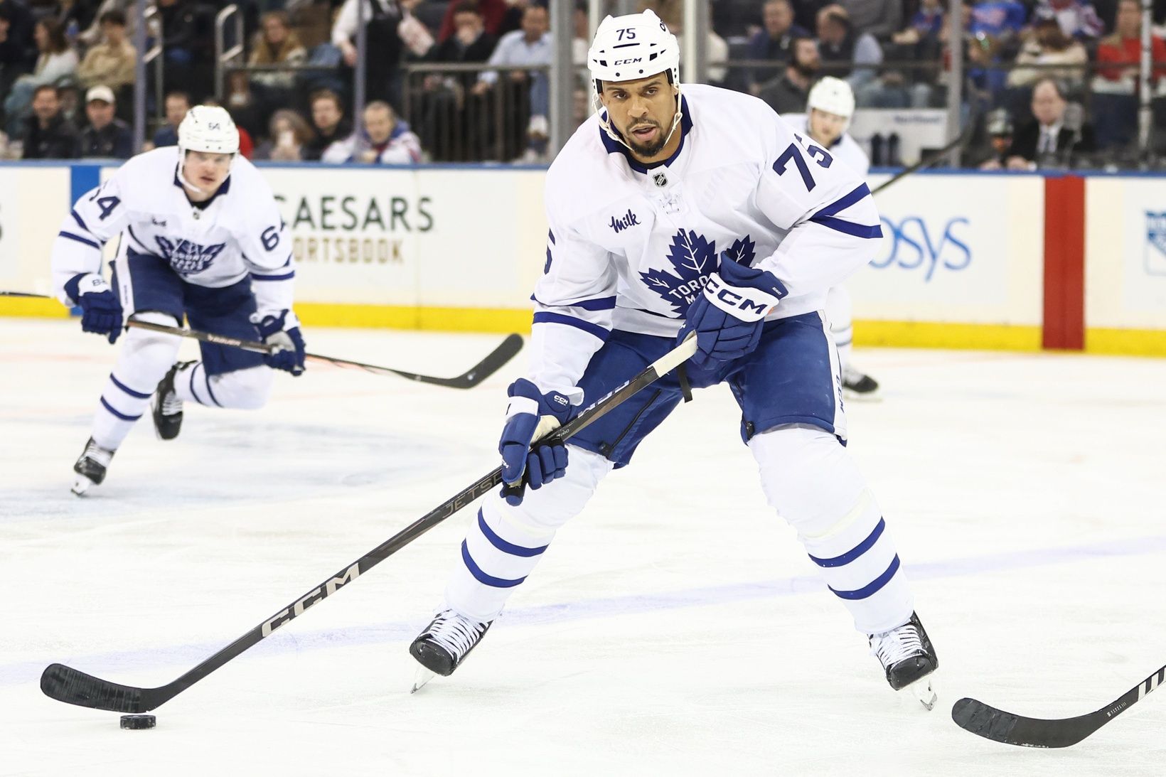 ‘I Wasn’t Doing Anything Shady’ – Ex-Maple Leafs Enforcer Pleads ...