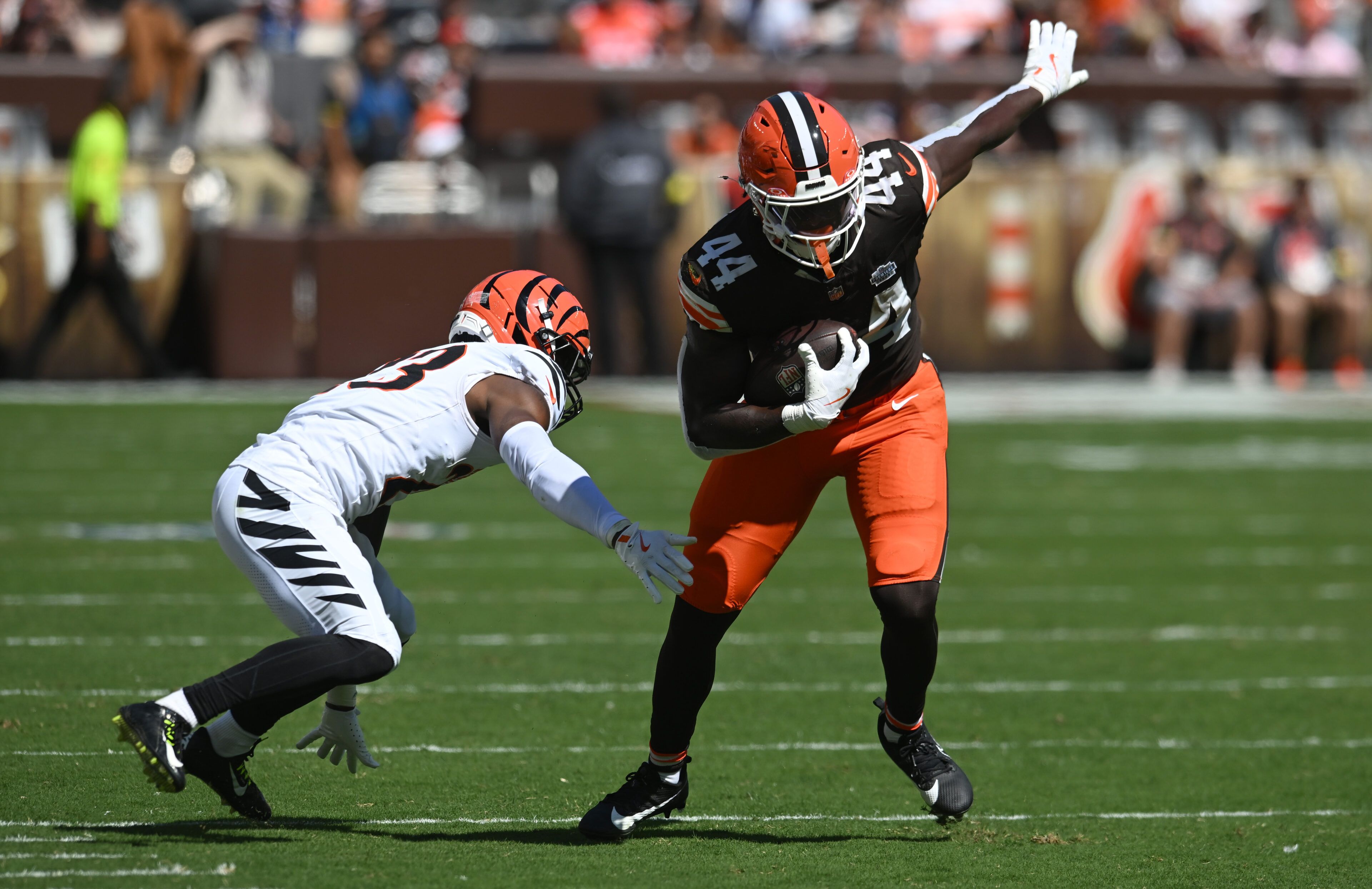 Harold Fannin Jr. Fantasy Football Waiver Wire: Should Managers Pick Up ...