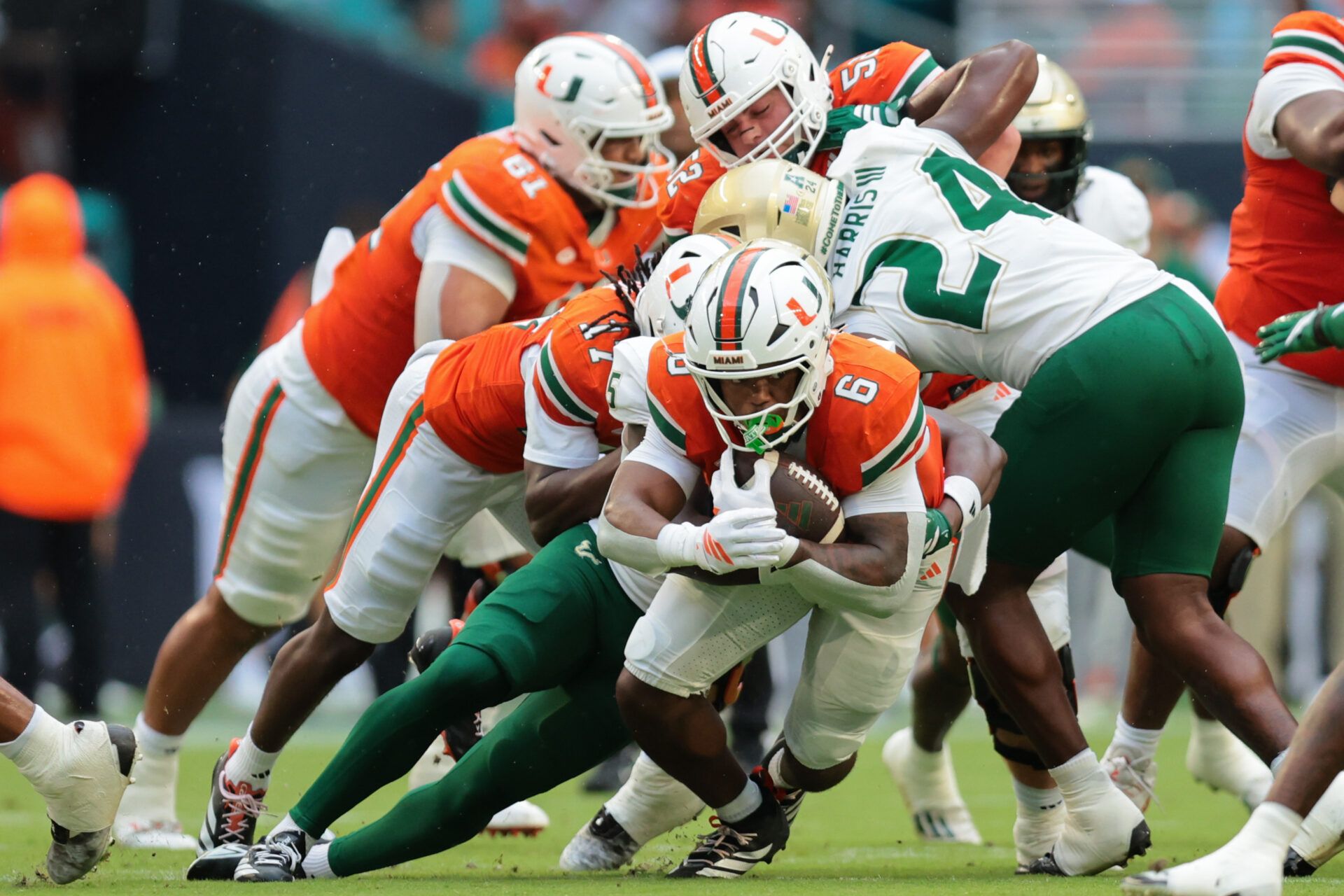Why Is Miami-USF Suspended, and How Long Will It Last? Latest Updates ...