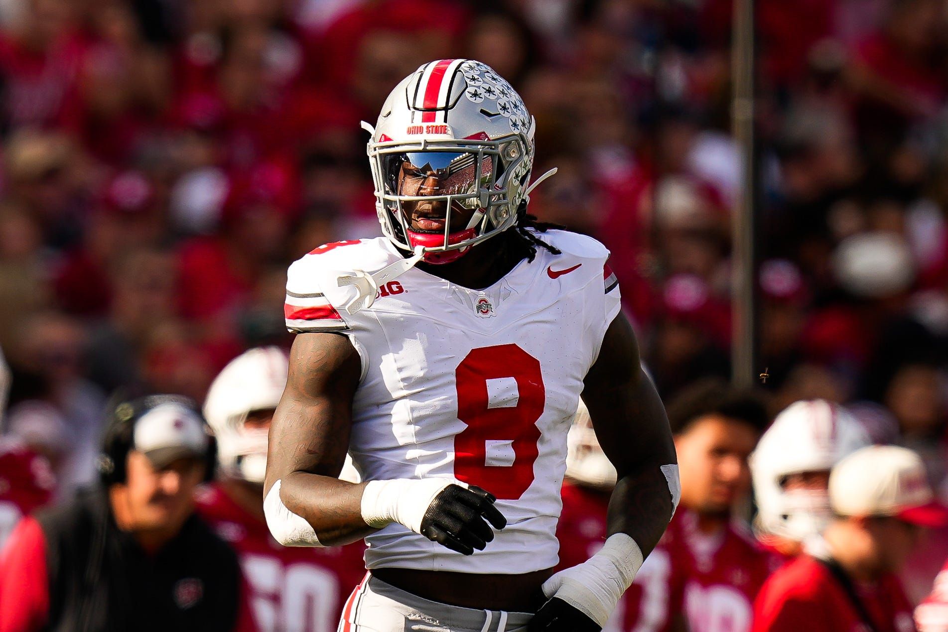 Arvell Reese NFL Draft Profile: Week 12 Scouting Report for the Ohio ...