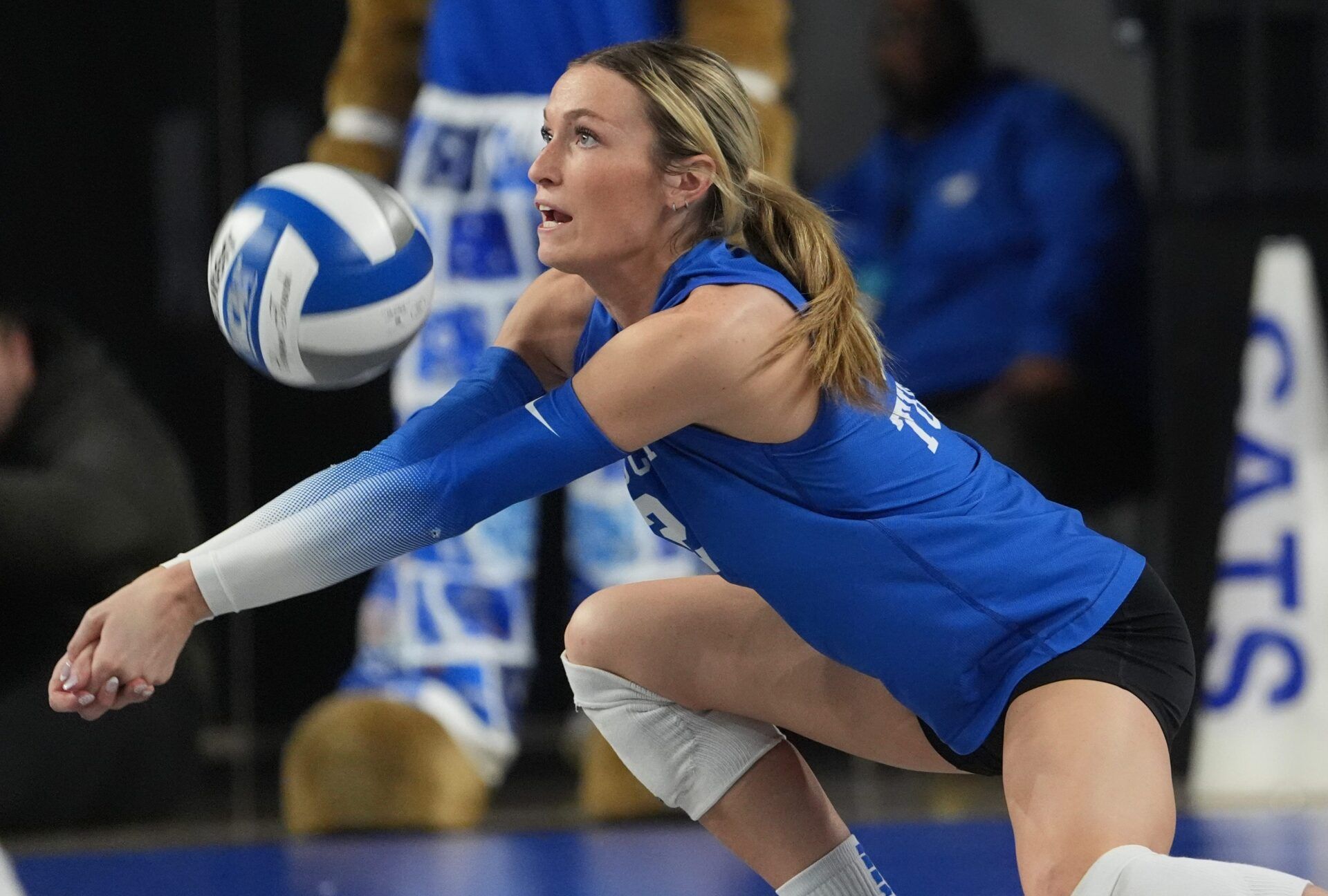 Kentucky Volleyball vs. Cal Poly Mustangs in NCAA Regionals: Preview, Start Times, Complete Live ...
