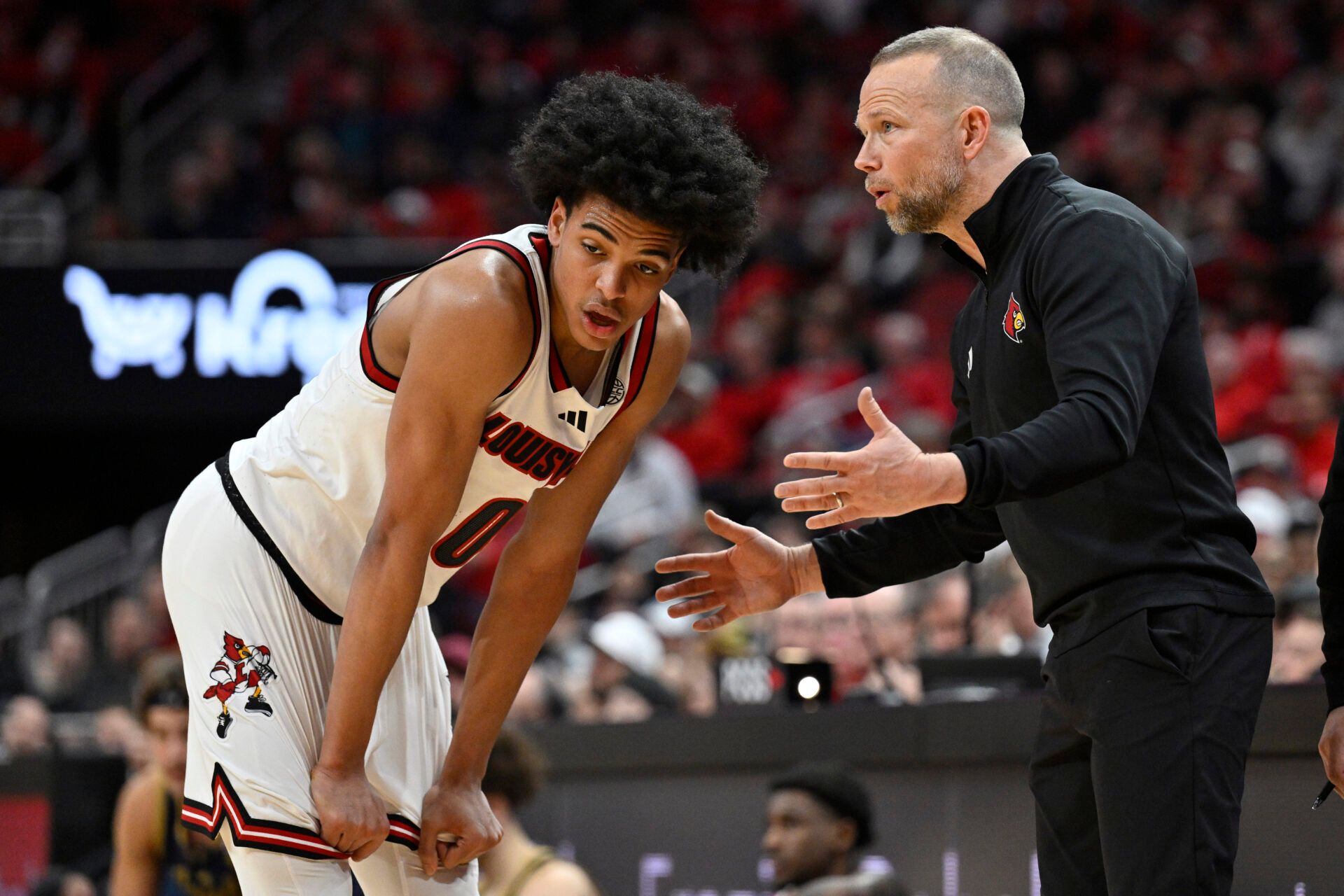 NC State vs. Louisville Prediction: Can the Cardinals Halt the Wolfpack ...